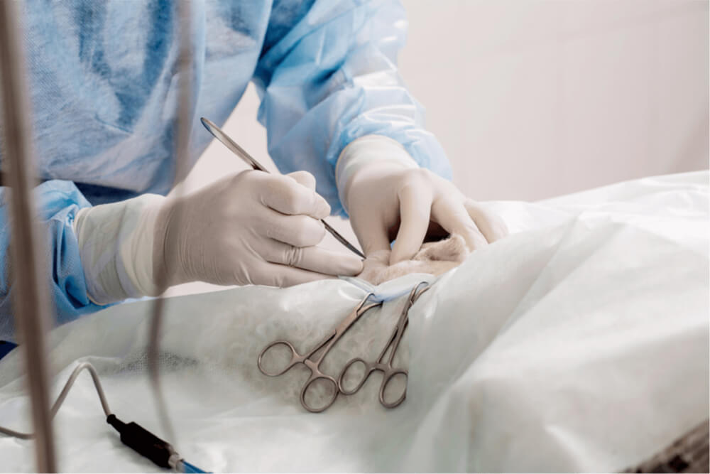 Skin Cancer Removal In Exton Pa 9249